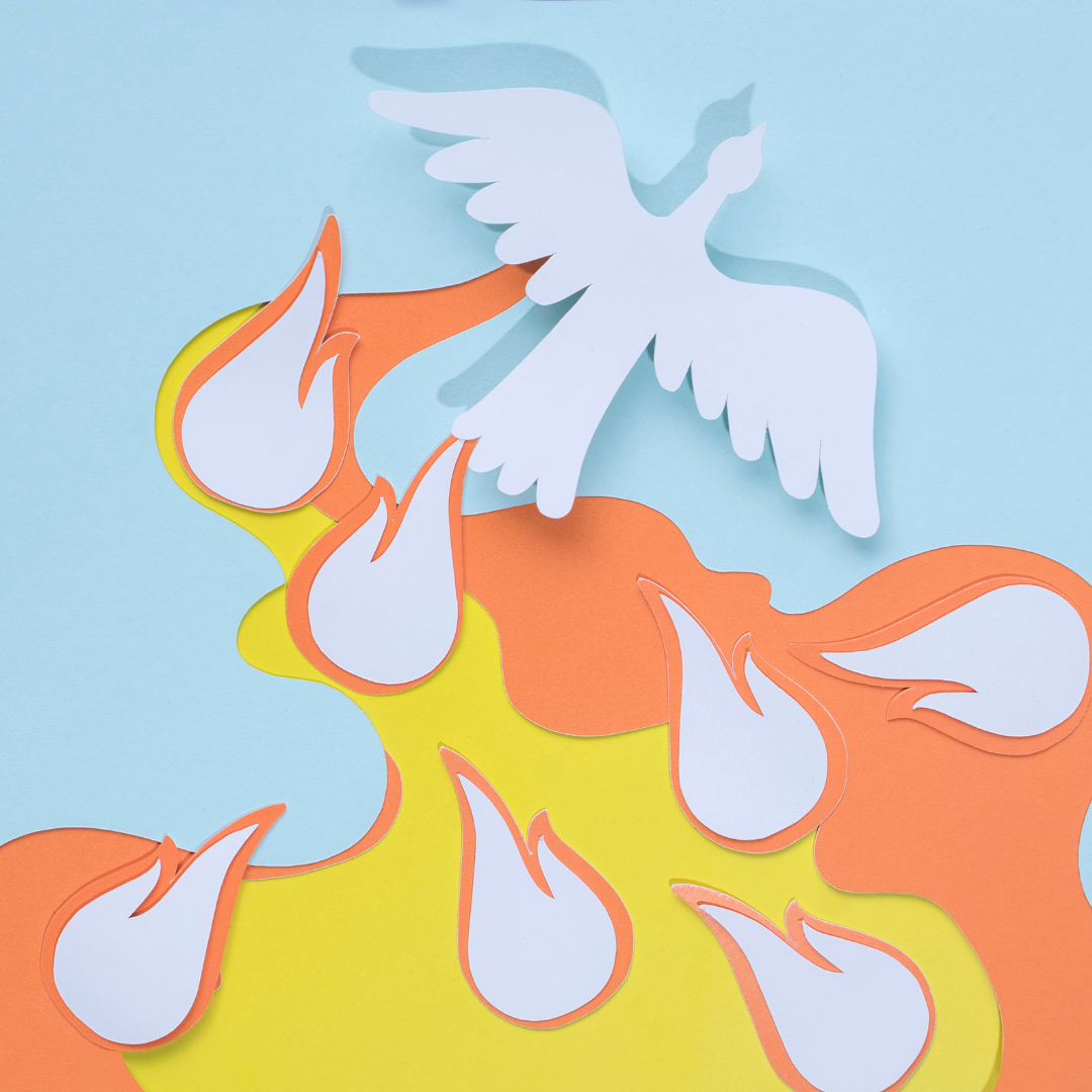 Meet Our Leadership – Bradley Hills Presbyterian Church – BHPC